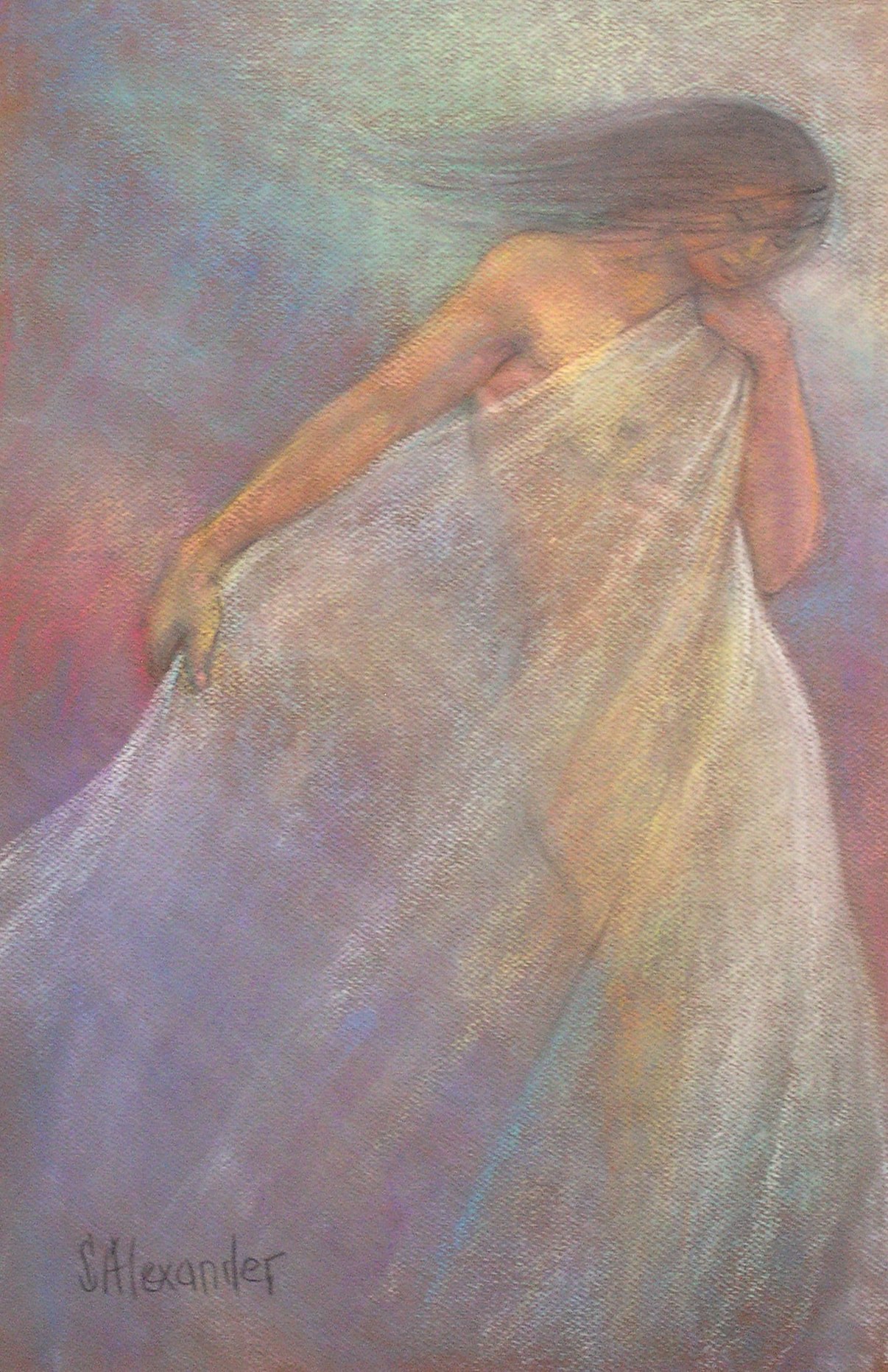 Susan Alexander Exhibits New Works in Five Media - YardEdge