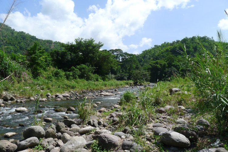 The Wag Water River, St. Mary, Jamaica - YardEdge